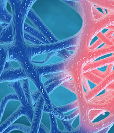 Inflammatory Marker: SEKBIO
